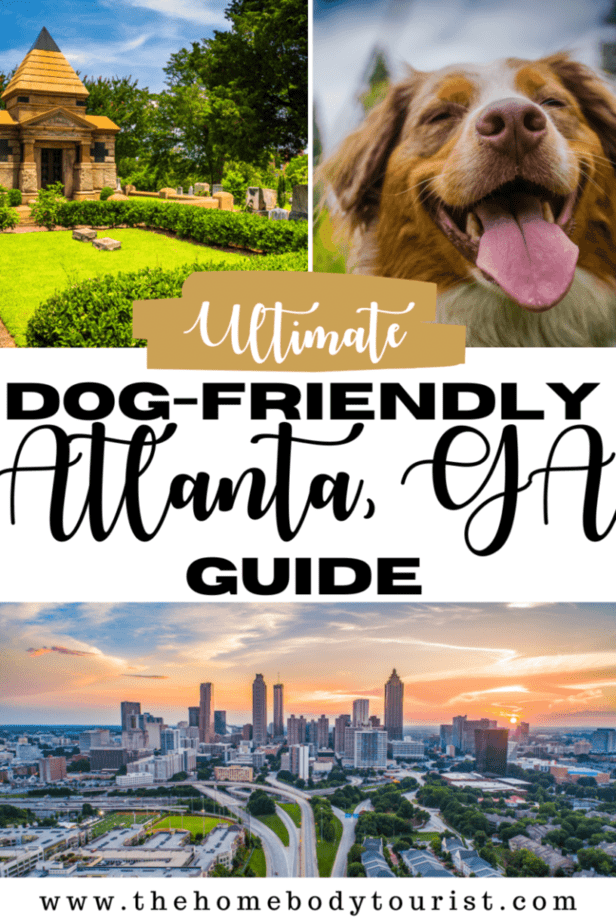 Dog-friendly Guide to Atlanta - The Homebody Tourist