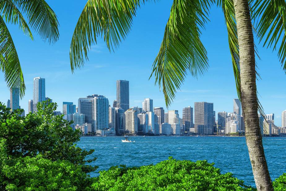 One Weekend In Miami: A 3-day Miami Itinerary - The Homebody Tourist