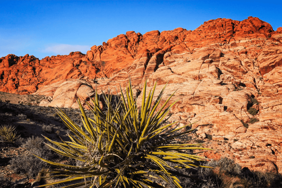 23+ Adventurous Outdoor Activities near Las Vegas - The Homebody Tourist