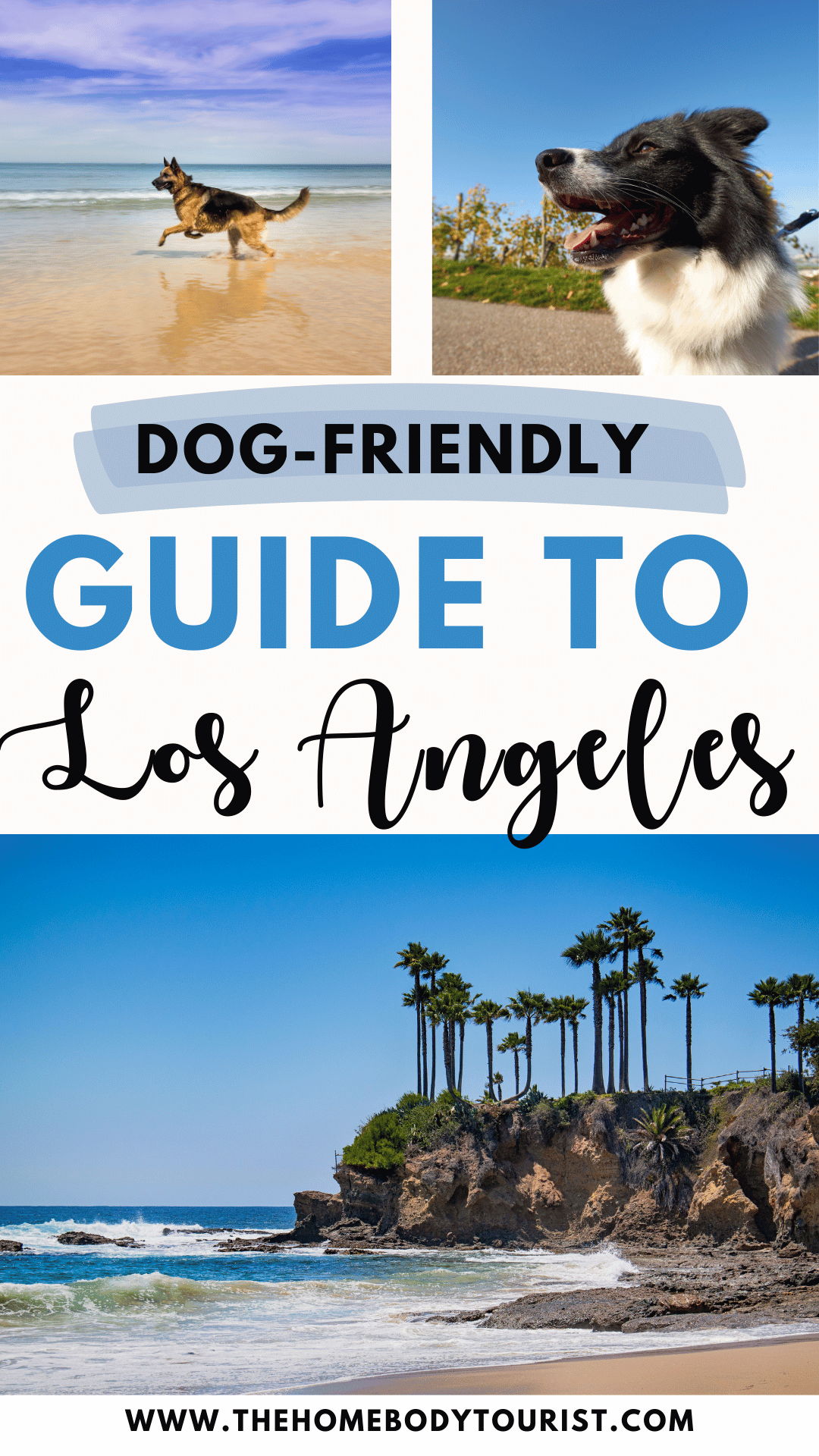Dog-friendly Guide to Los Angeles: 13+ Pup-Approved Things to Do in LA ...