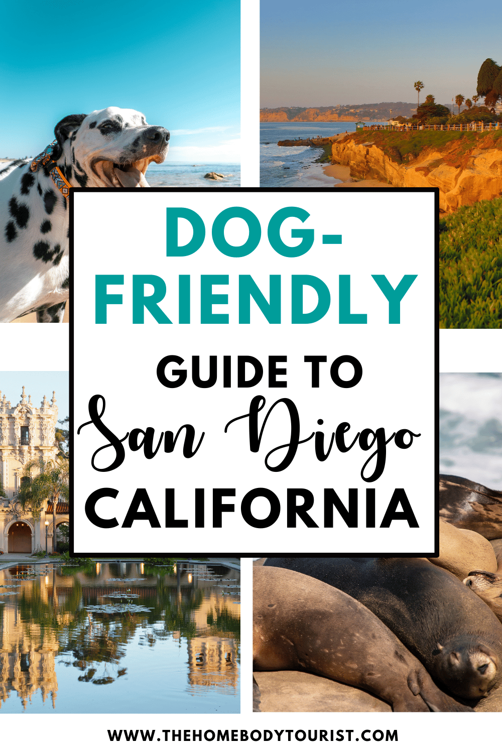 Dog-friendly Guide to San Diego - The Homebody Tourist