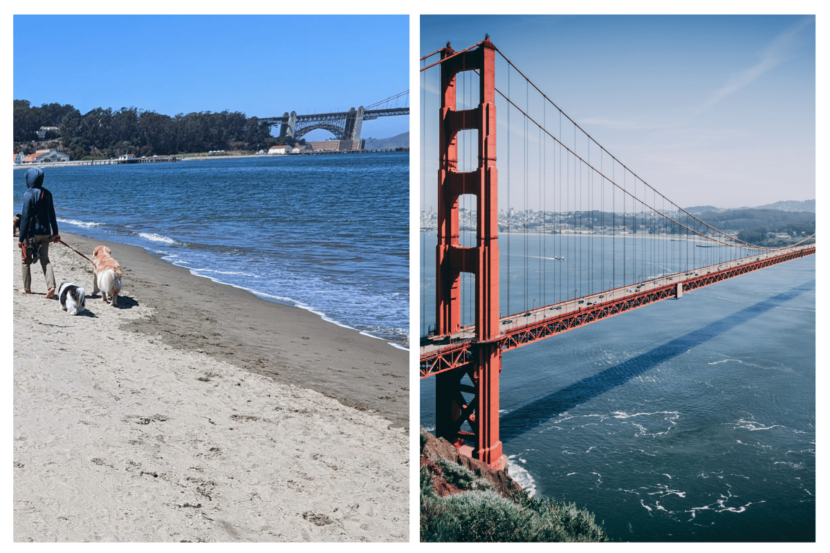 37+ Unique Dog-Friendly Attractions in the United States - The Homebody ...