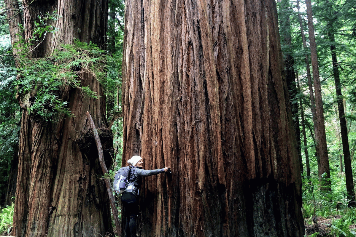 31 Breathtaking California Day Hikes - The Homebody Tourist