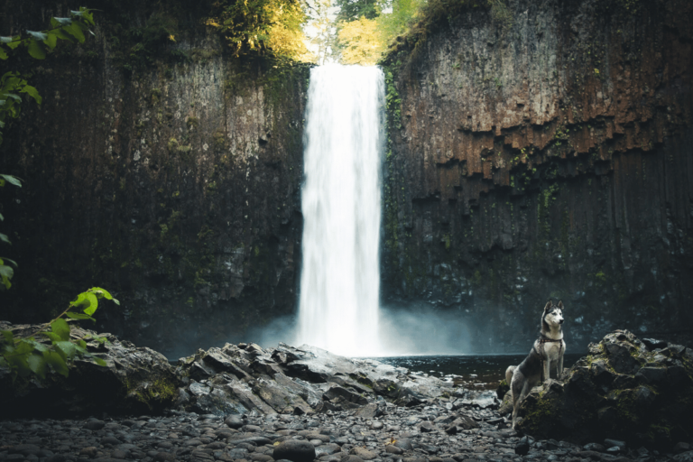 The Most Breathtaking Waterfalls in Oregon - The Homebody Tourist