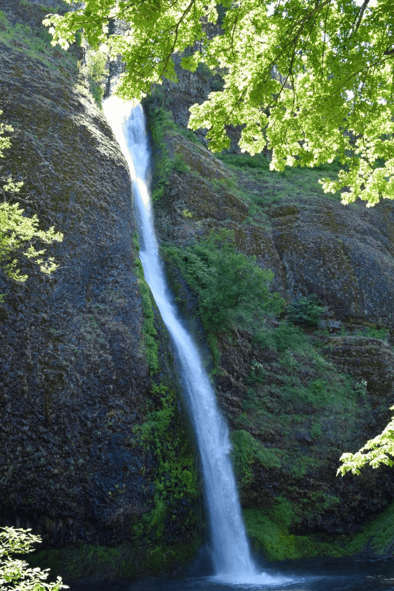 The Most Breathtaking Waterfalls in Oregon - The Homebody Tourist