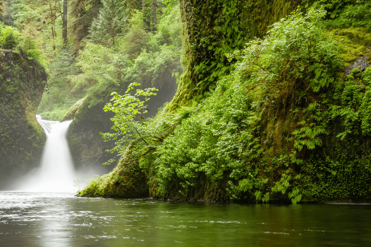 The Most Breathtaking Waterfalls in Oregon - The Homebody Tourist