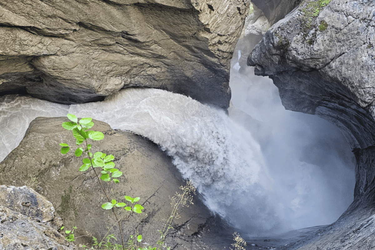 14+ Hikes in Switzerland That NEED To Be On Your Bucket List! - The ...