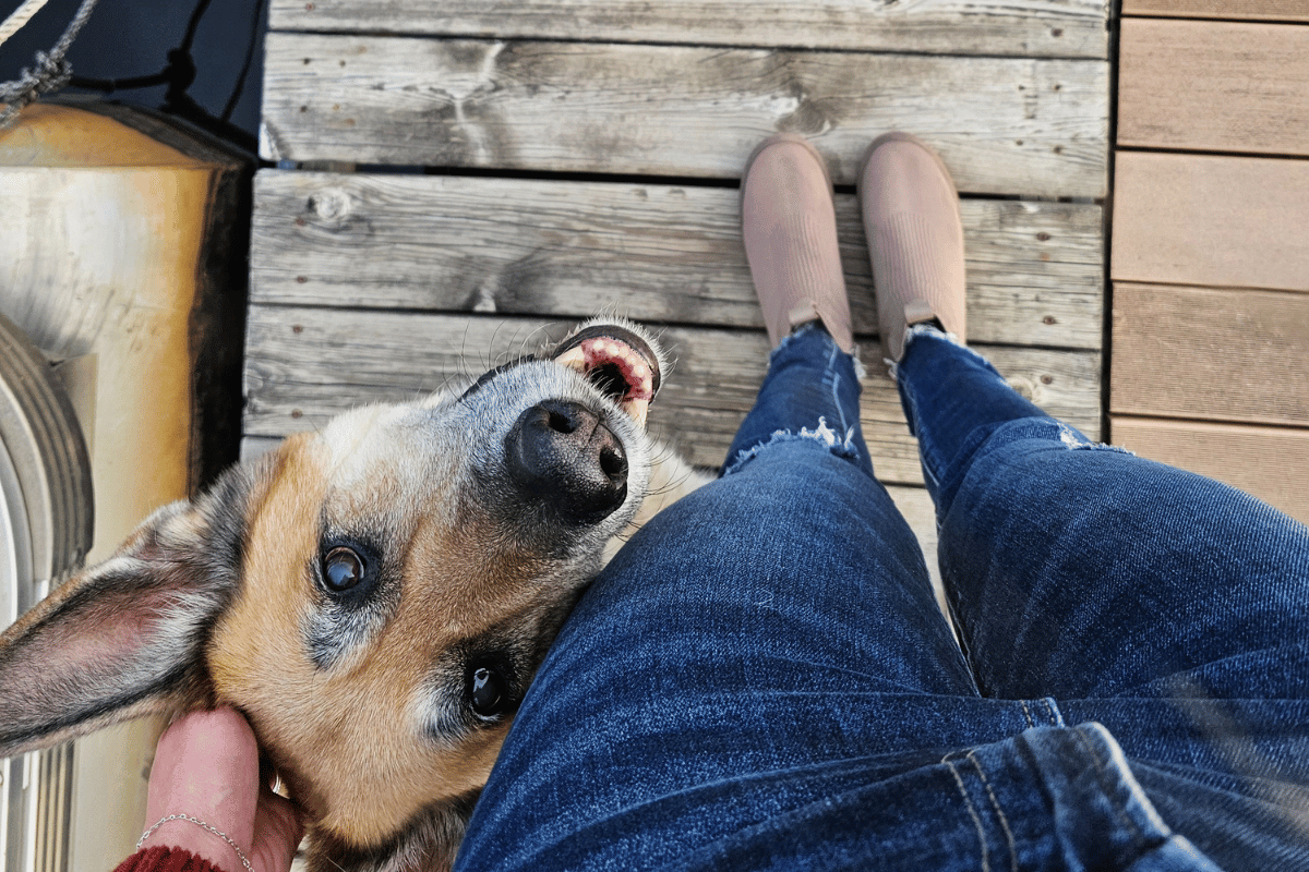 Vessi Weekend Chelsea Review: Are They Worth The Money?! - The Homebody ...