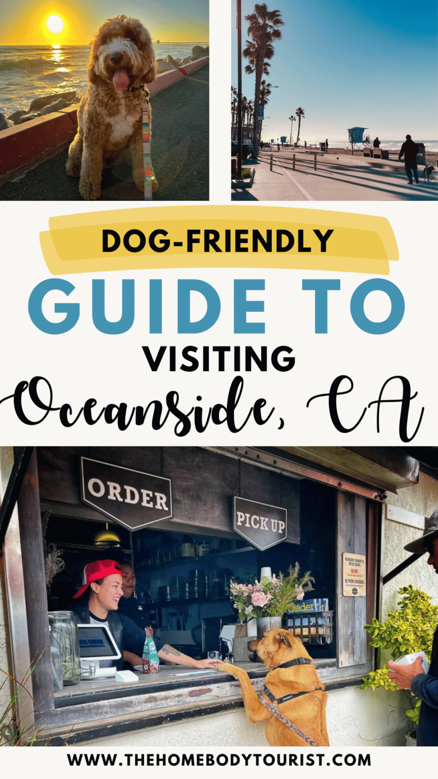 Dog-friendly Guide to Oceanside, CA - The Homebody Tourist