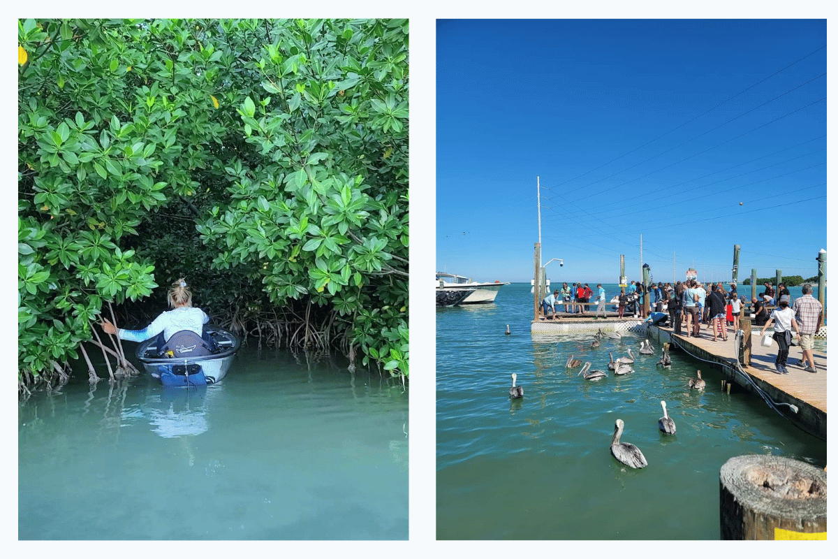 19+ Top Spring Break Destinations in the USA - The Homebody Tourist