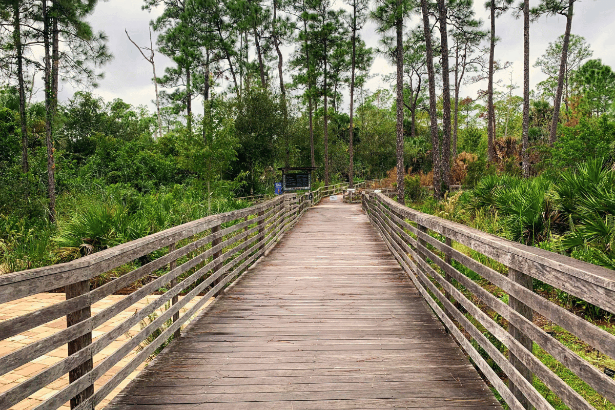 One Weekend In Naples, Florida: How to Spend 3 Exciting Days in Naples ...