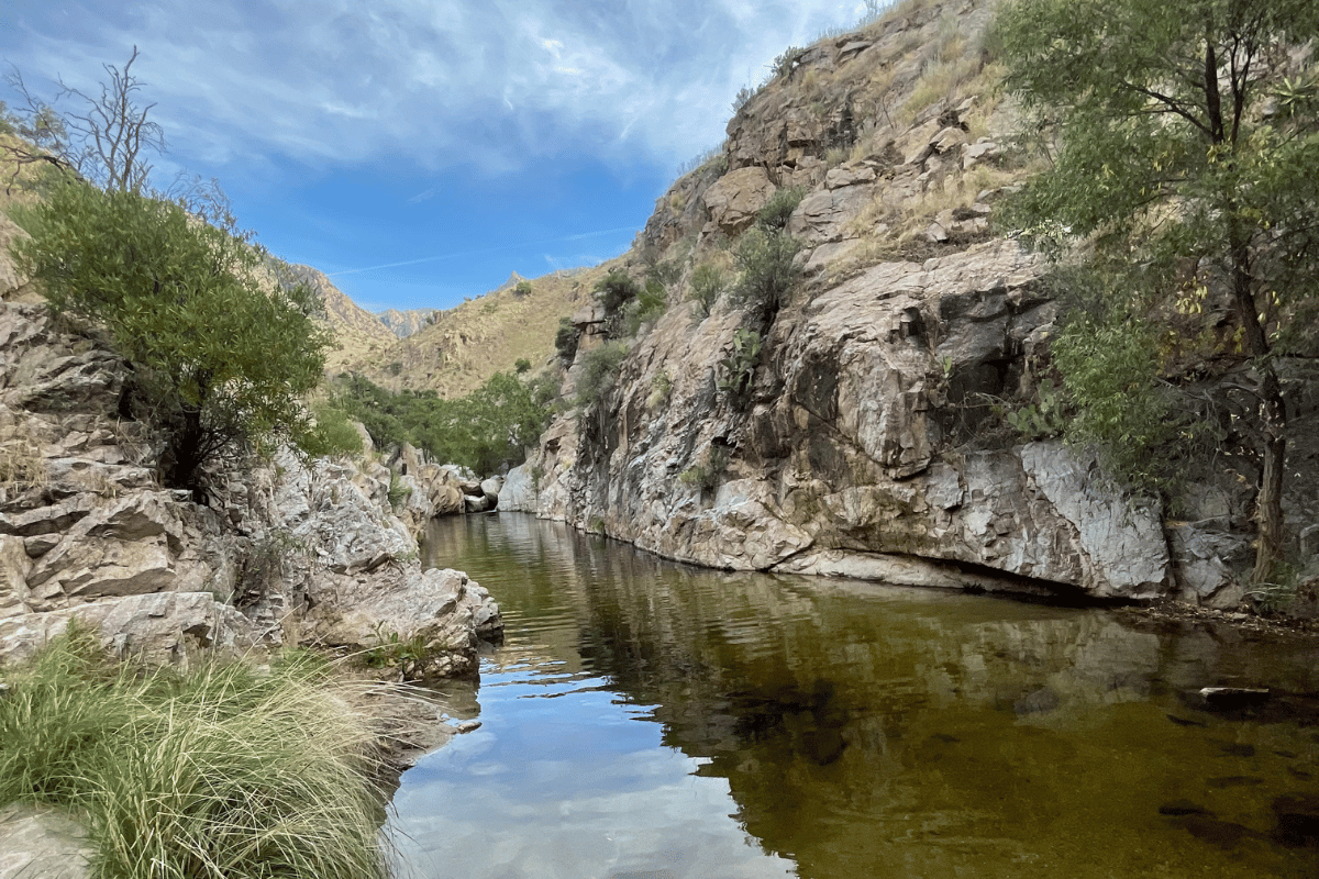 Refreshing Lakes near Tucson, AZ (+ other Bodies of Water) - The ...