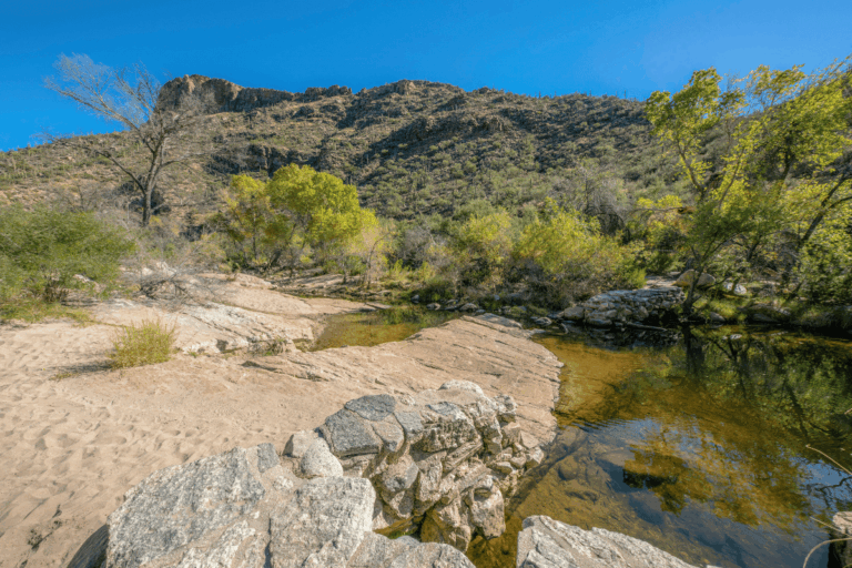 Refreshing Lakes near Tucson, AZ (+ other Bodies of Water) - The ...