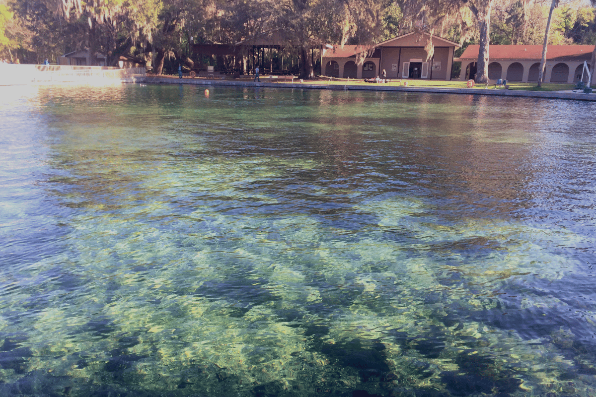 15+ Natural Springs Near Orlando (With Map and Printable Bucket List ...