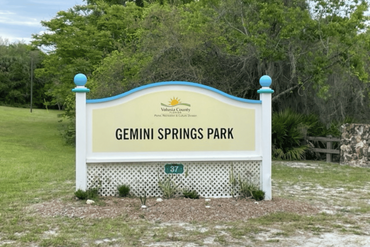 15+ Natural Springs Near Orlando (With Map and Printable Bucket List ...