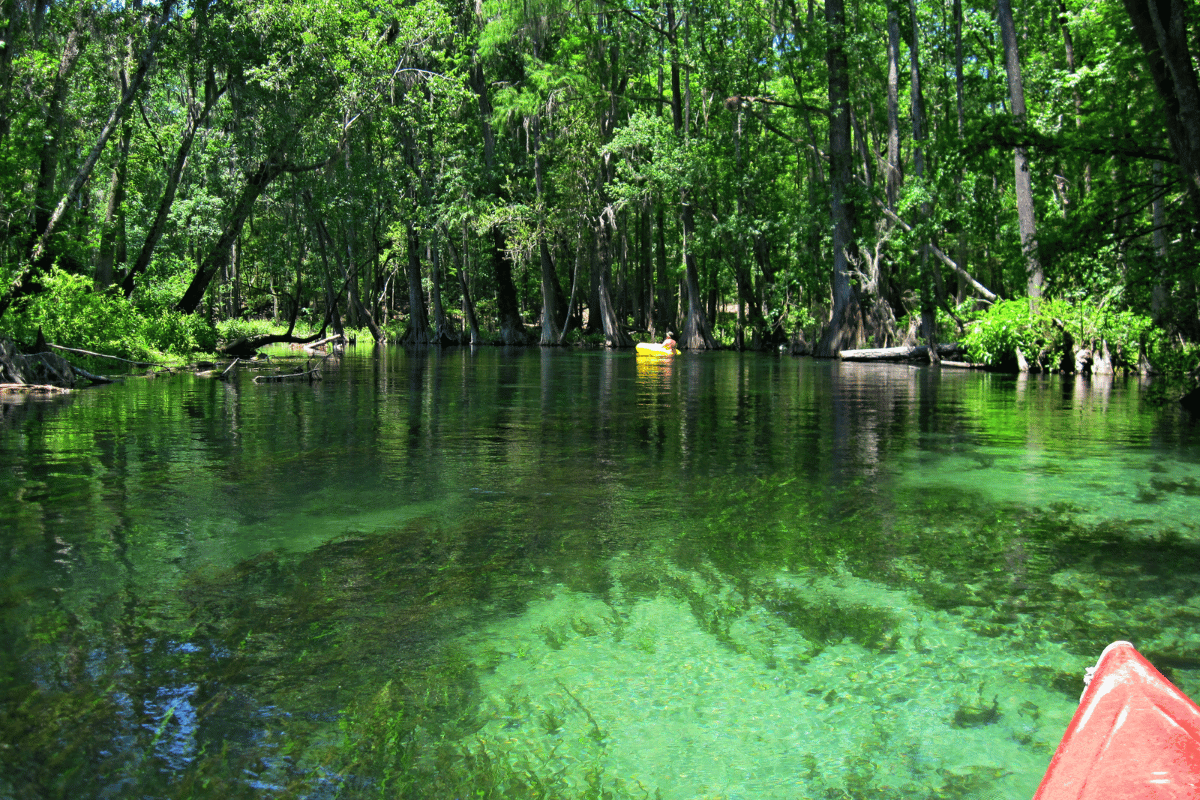 15+ Natural Springs Near Orlando (With Map and Printable Bucket List ...
