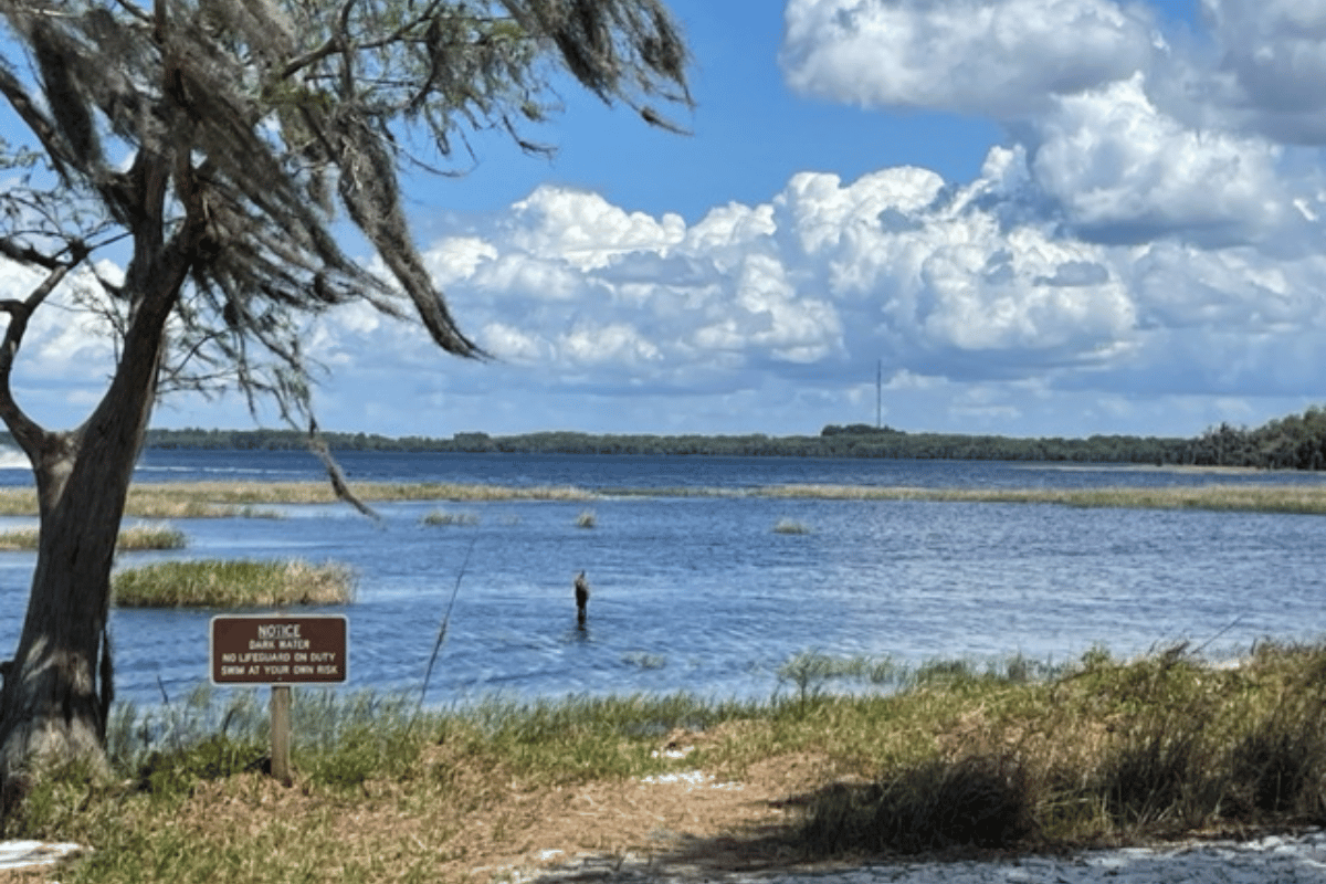 15+ Natural Springs Near Orlando (With Map and Printable Bucket List ...