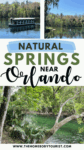 15+ Natural Springs Near Orlando (With Map and Printable Bucket List ...