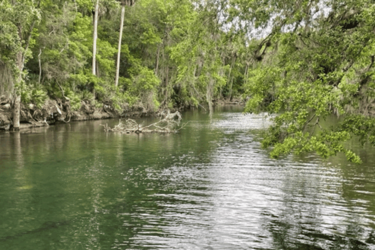 15+ Natural Springs Near Orlando (With Map and Printable Bucket List ...
