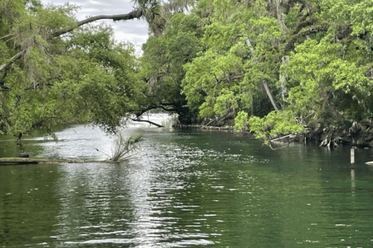 15+ Natural Springs Near Orlando (With Map and Printable Bucket List ...