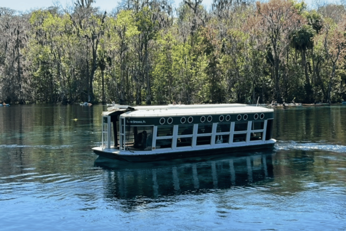 15+ Natural Springs Near Orlando (With Map and Printable Bucket List ...