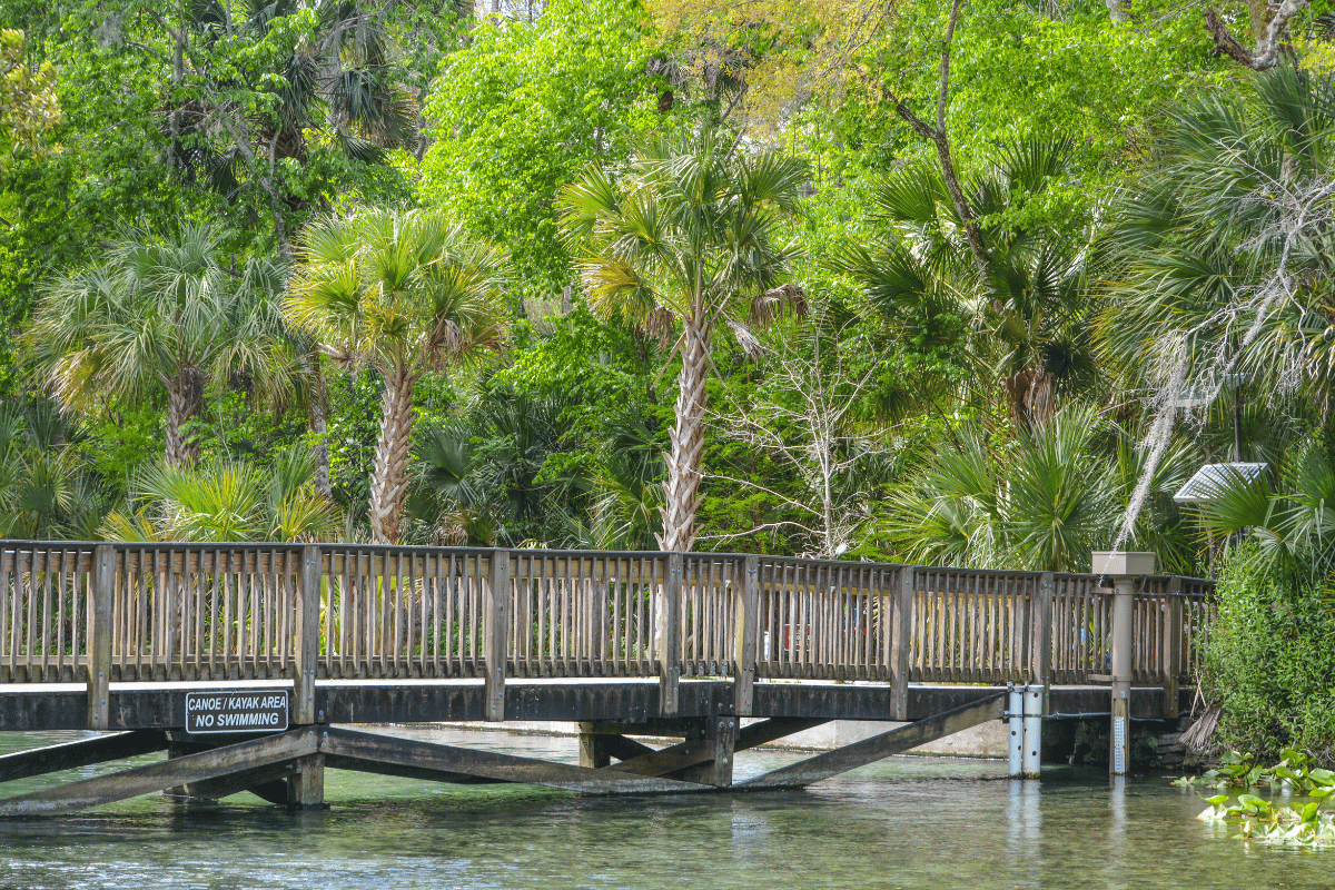 15+ Natural Springs Near Orlando (With Map and Printable Bucket List ...