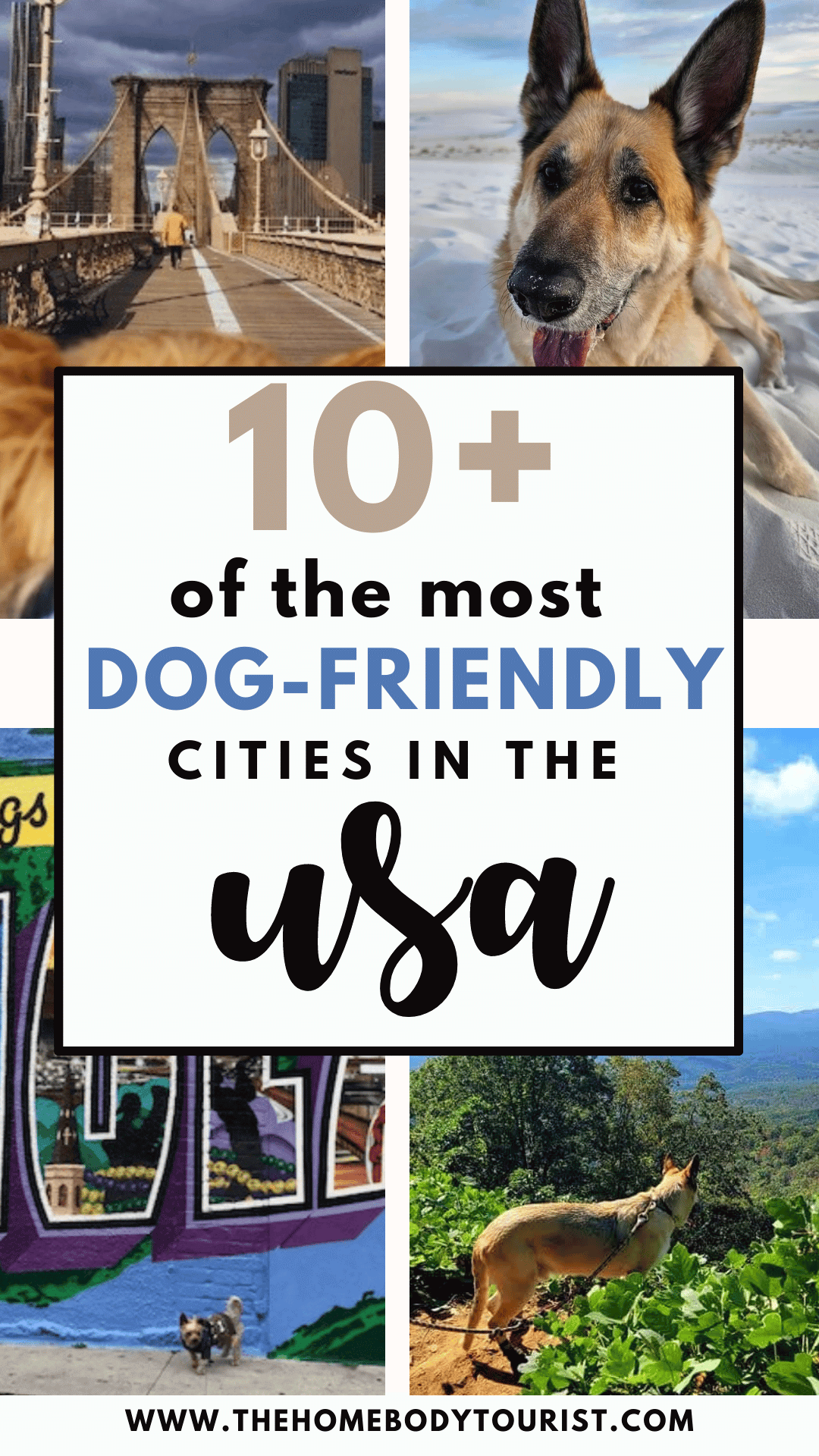 10 of the Most Dog-Friendly Cities in the USA - The Homebody Tourist
