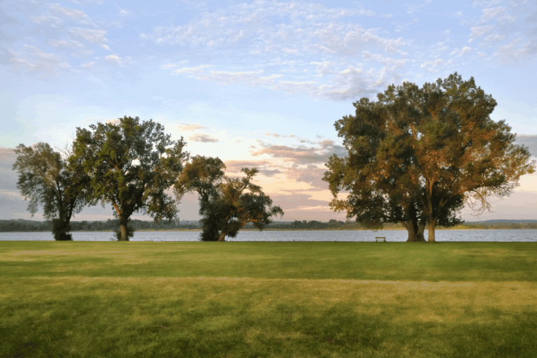 One Weekend In Syracuse, NY: A 3-day Trip to Upstate NY - The Homebody ...