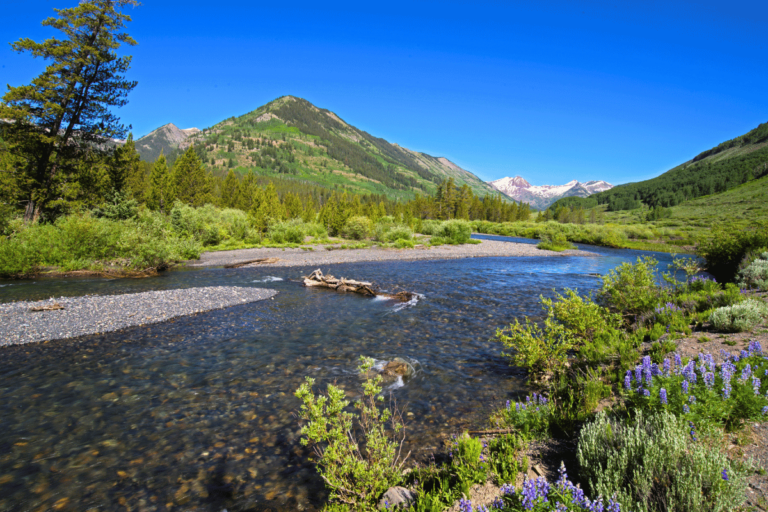 The BEST Places to Visit in Colorado Summer - The Homebody Tourist