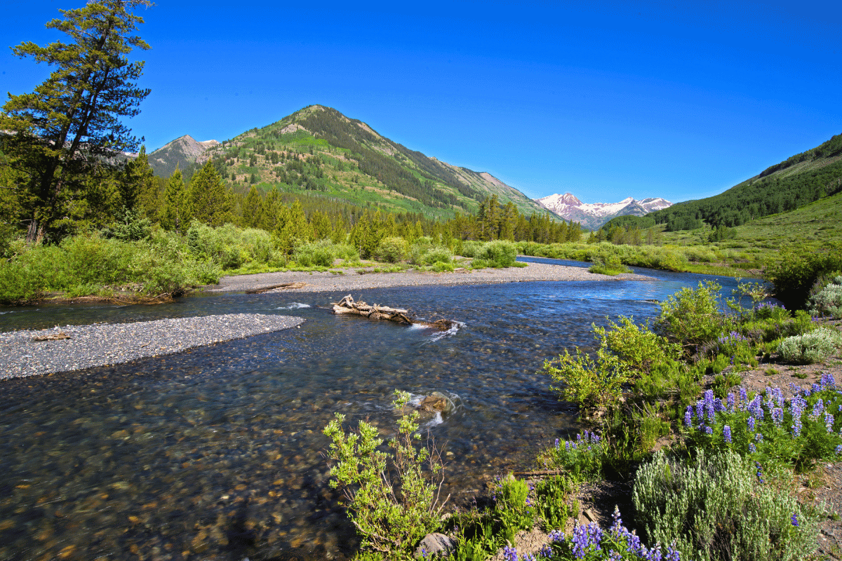 The BEST Places to Visit in Colorado Summer | The Homebody Tourist