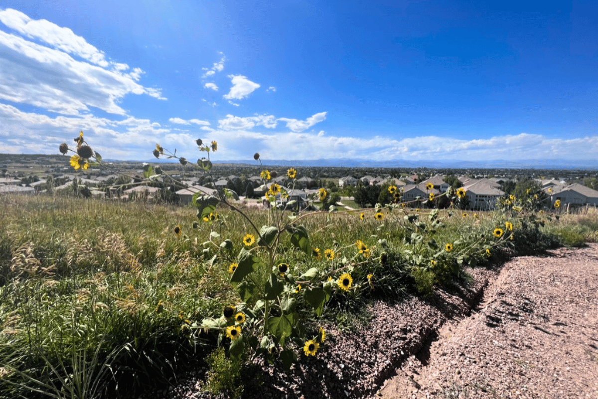 8 of the BEST Denver Day Hikes (from a local!) | The Homebody Tourist