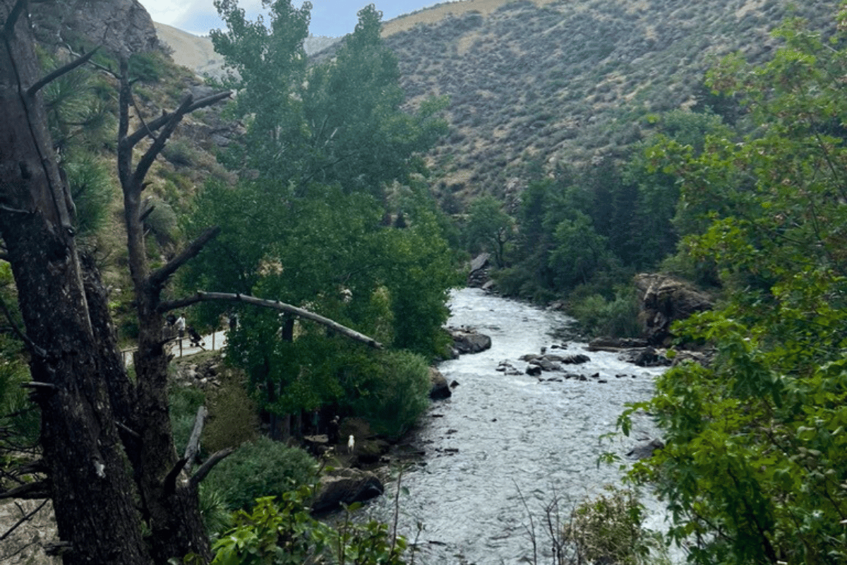 8 of the BEST Denver Day Hikes (from a local!) | The Homebody Tourist